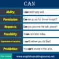 Use of Can In English